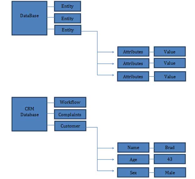 What Is A Database Management System Database Tutorial By Wideskills